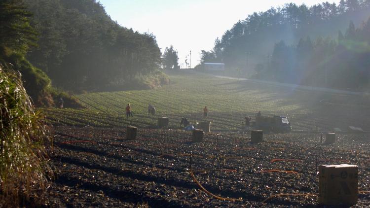 BA International Relations | SOAS