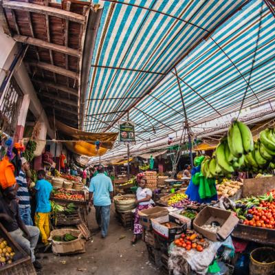Professor Richard Fardon | SOAS
