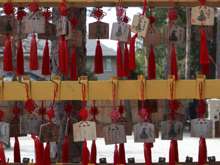 Professor Stacey Pierson | SOAS