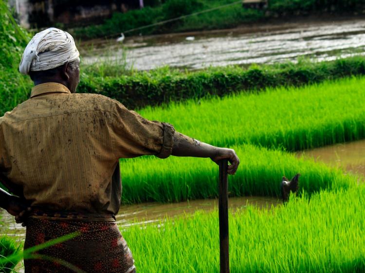 Professor Philippe Cullet | SOAS