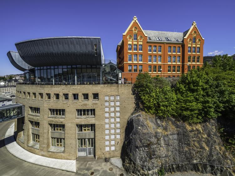 Global partnerships | SOAS