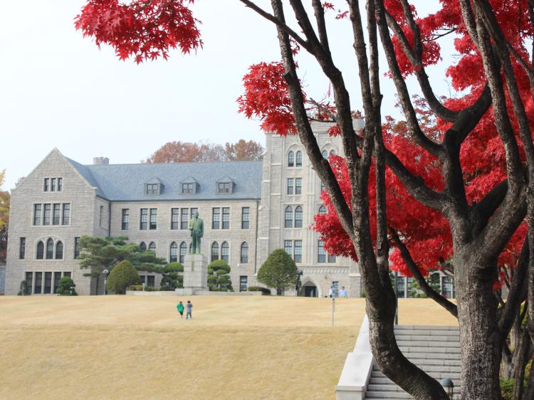 Global partnerships | SOAS