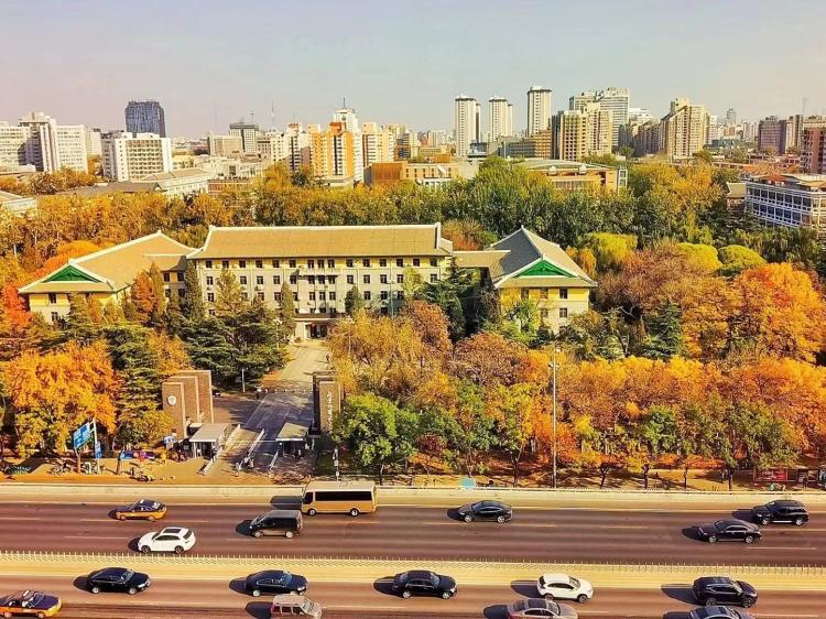 Global partnerships | SOAS