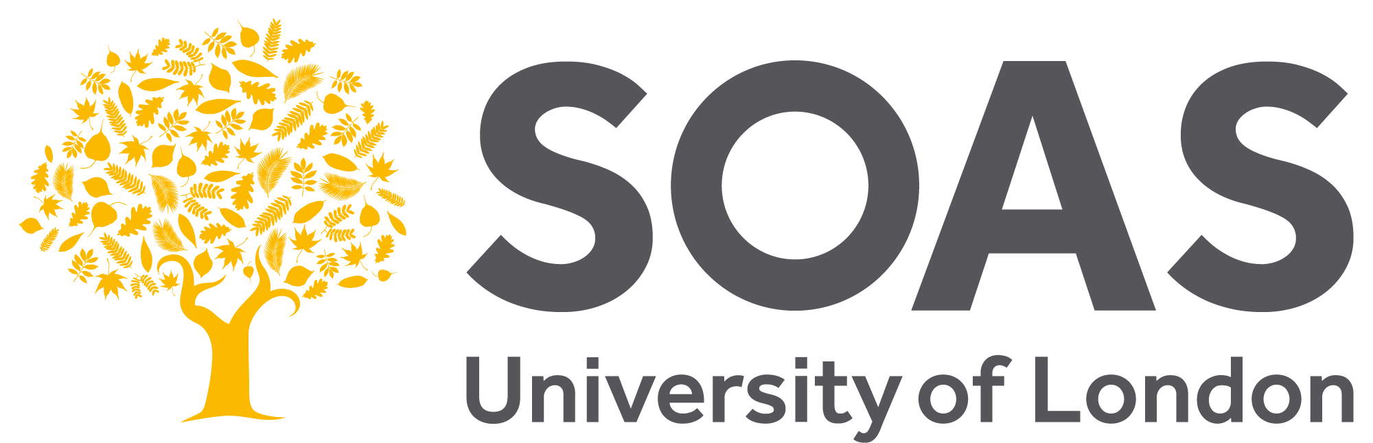 SOAS - Virtual Experience